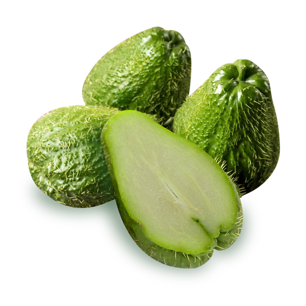 CHAYOTE C/ESPINAS KG – Super Mode SA de CV
